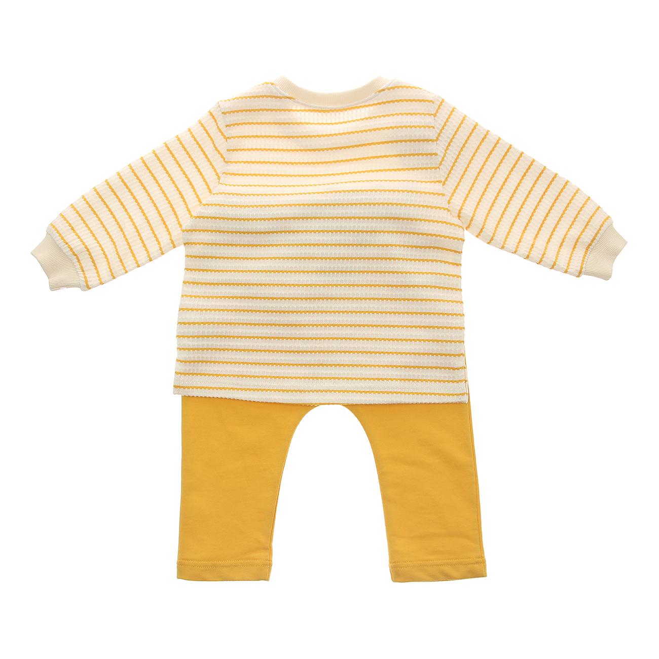 (압소바출산백일돌선물)폴티상하(AY5-13005)