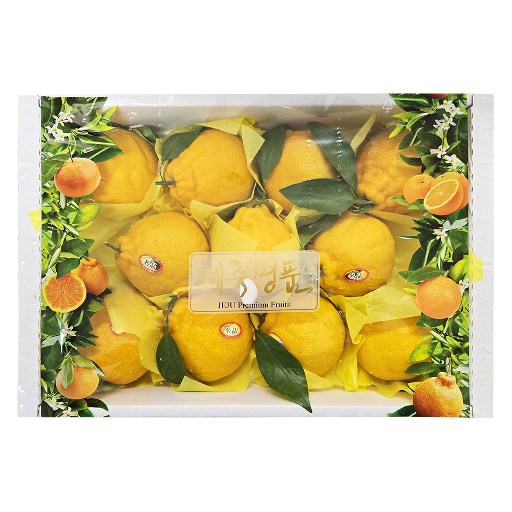 [농협] 농산물 도매 시장 경매 선별된 제주 한라봉(특과) 3KG(7-11과)