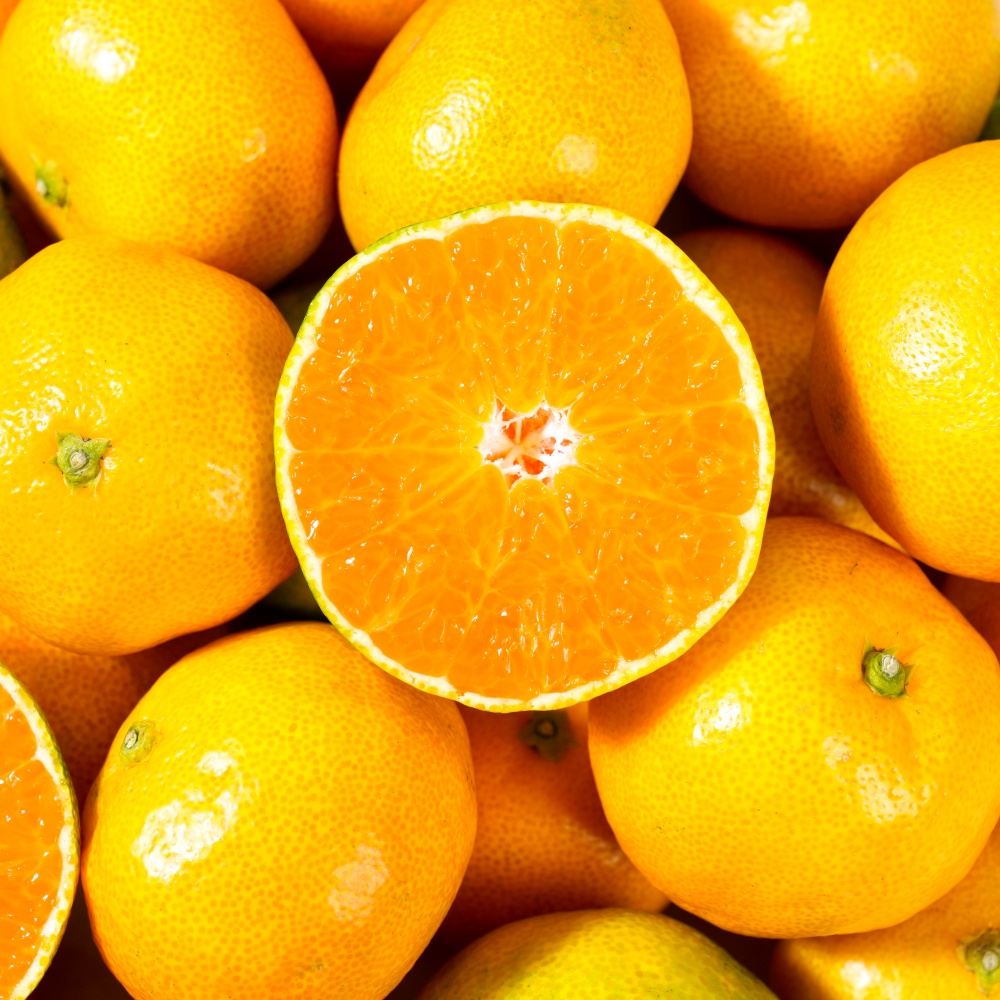 식식한상 GAP인증 제주 노지감귤 9kg 중대과(L-2L)