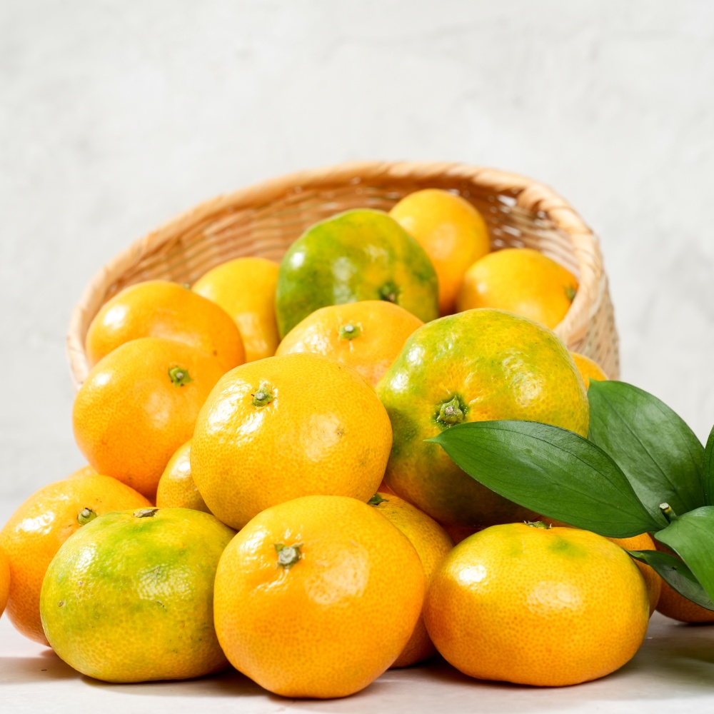 식식한상 GAP인증 제주 노지감귤 9kg 중대과(L-2L)