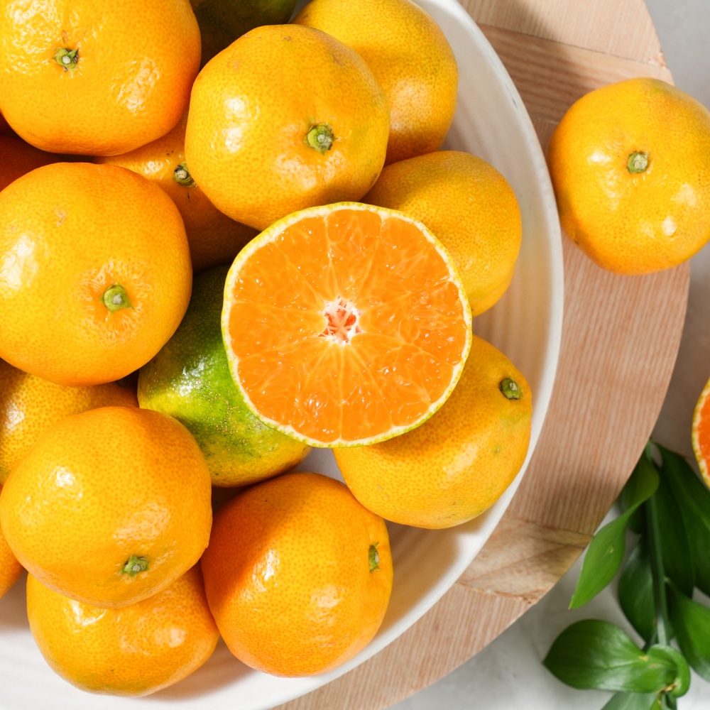 식식한상 GAP인증 제주 노지감귤 9kg 중대과(L-2L)