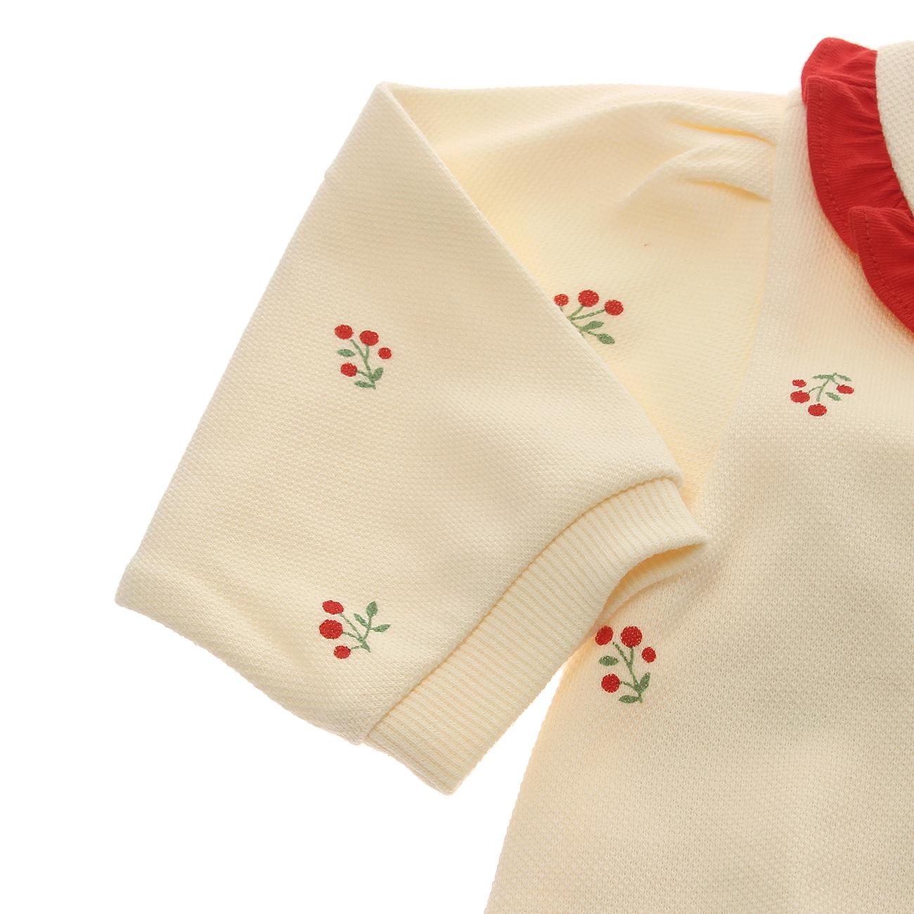 (압소바출산백일돌선물)알레상하(AY5-21213)